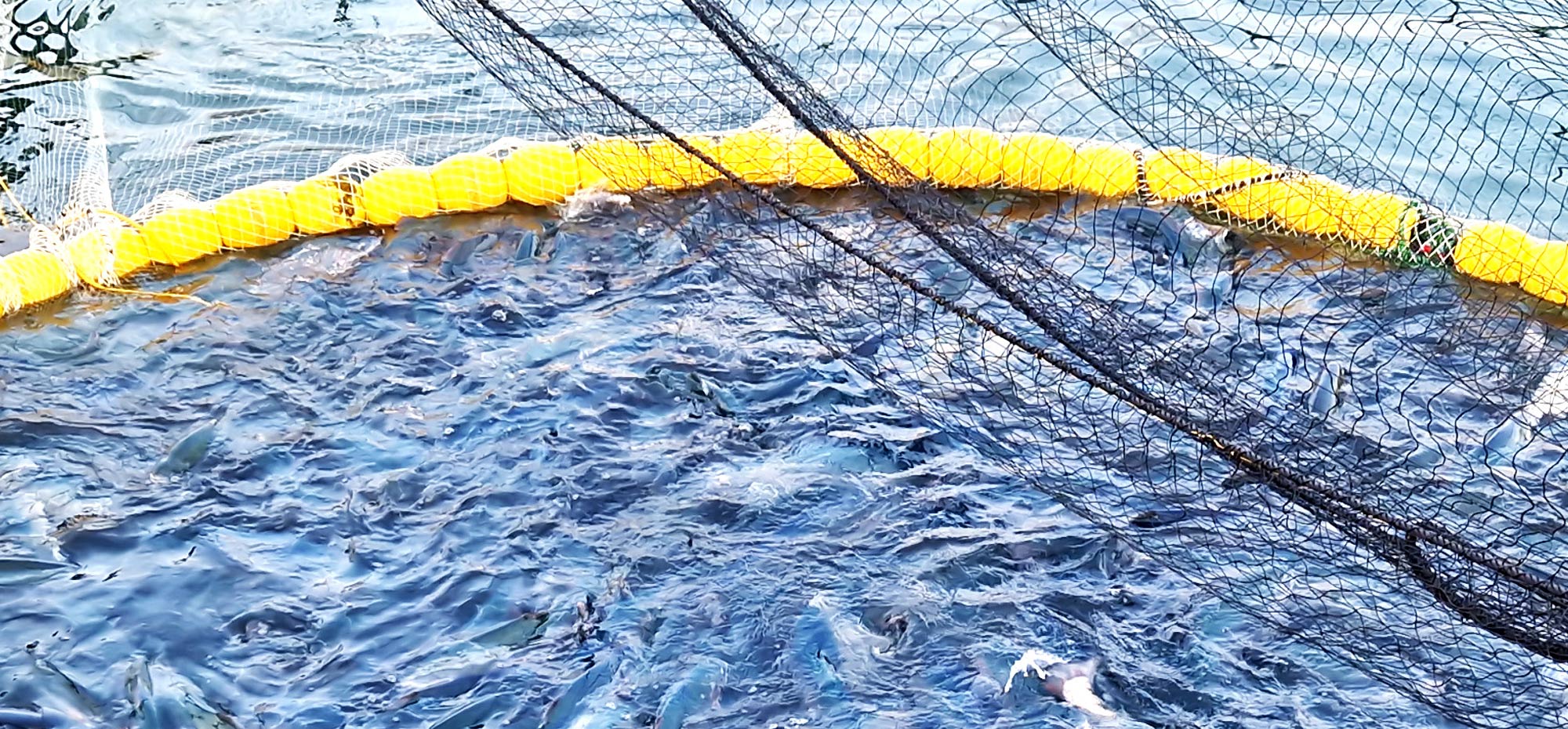 Home - Kuari · Engineering Quality